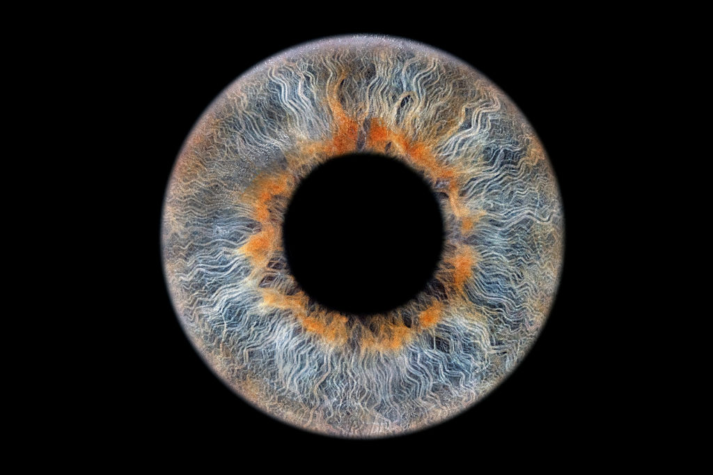 Irisfotos - Flatfields schönste Irisfotos aus dem Herzen von Rhein-Main