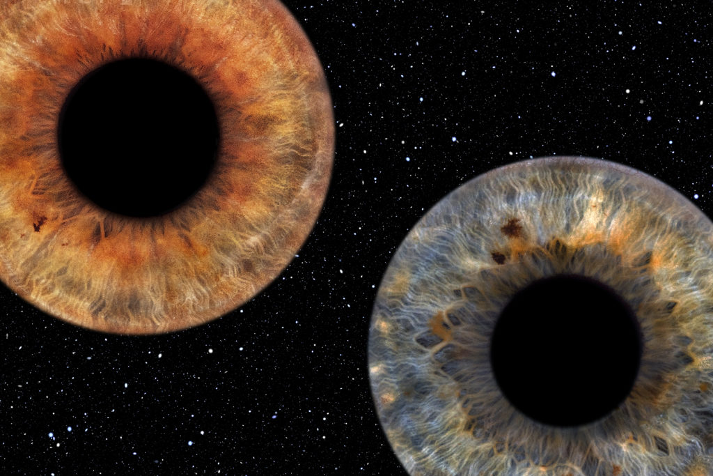 Irisfotos - Flatfields schönste Irisfotos aus dem Herzen von Rhein-Main