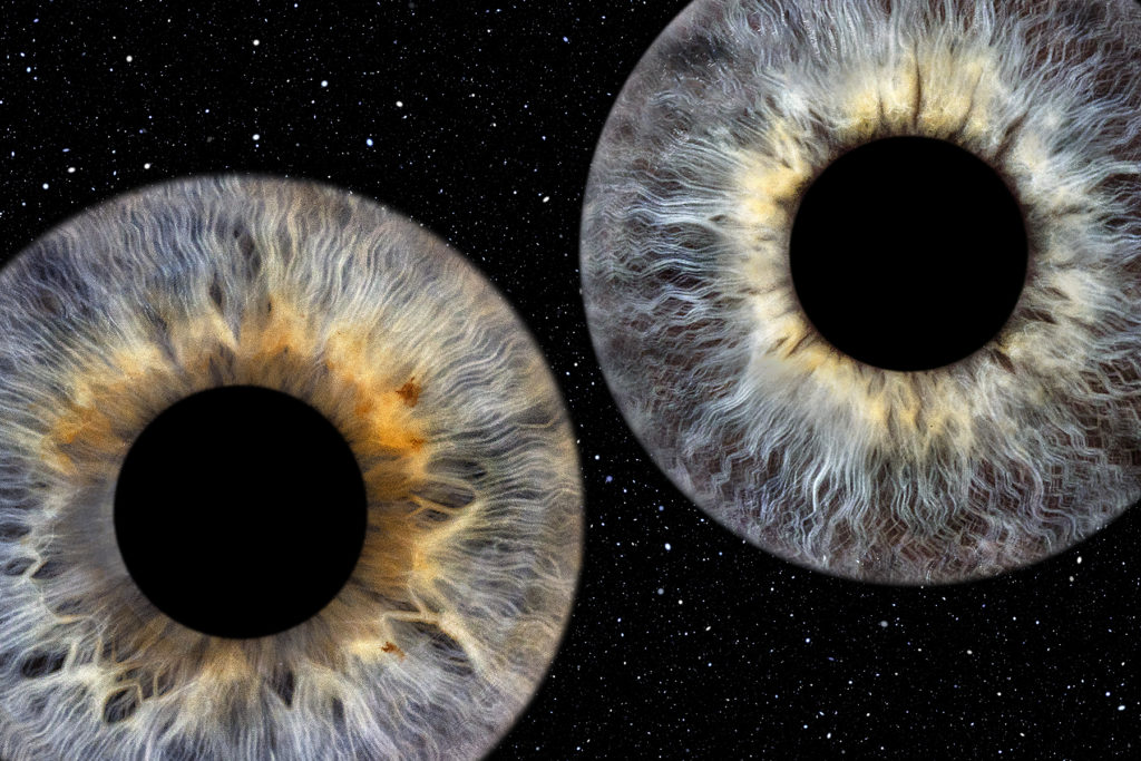 Irisfotos - Flatfields schönste Irisfotos aus dem Herzen von Rhein-Main