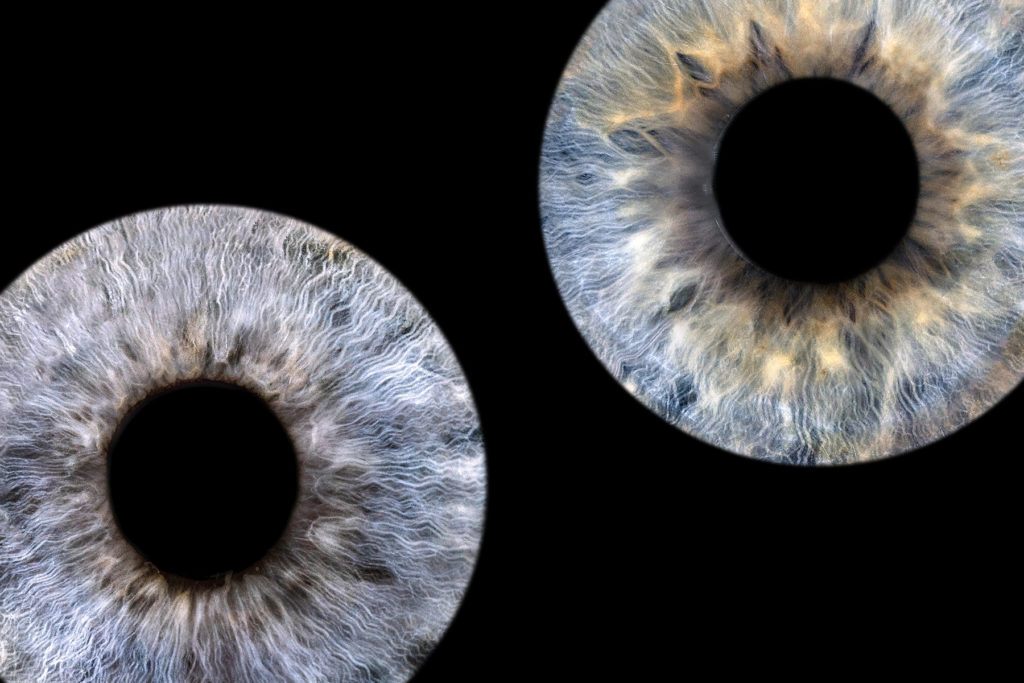 Irisfotos - Flatfields schönste Irisfotos aus dem Herzen von Rhein-Main