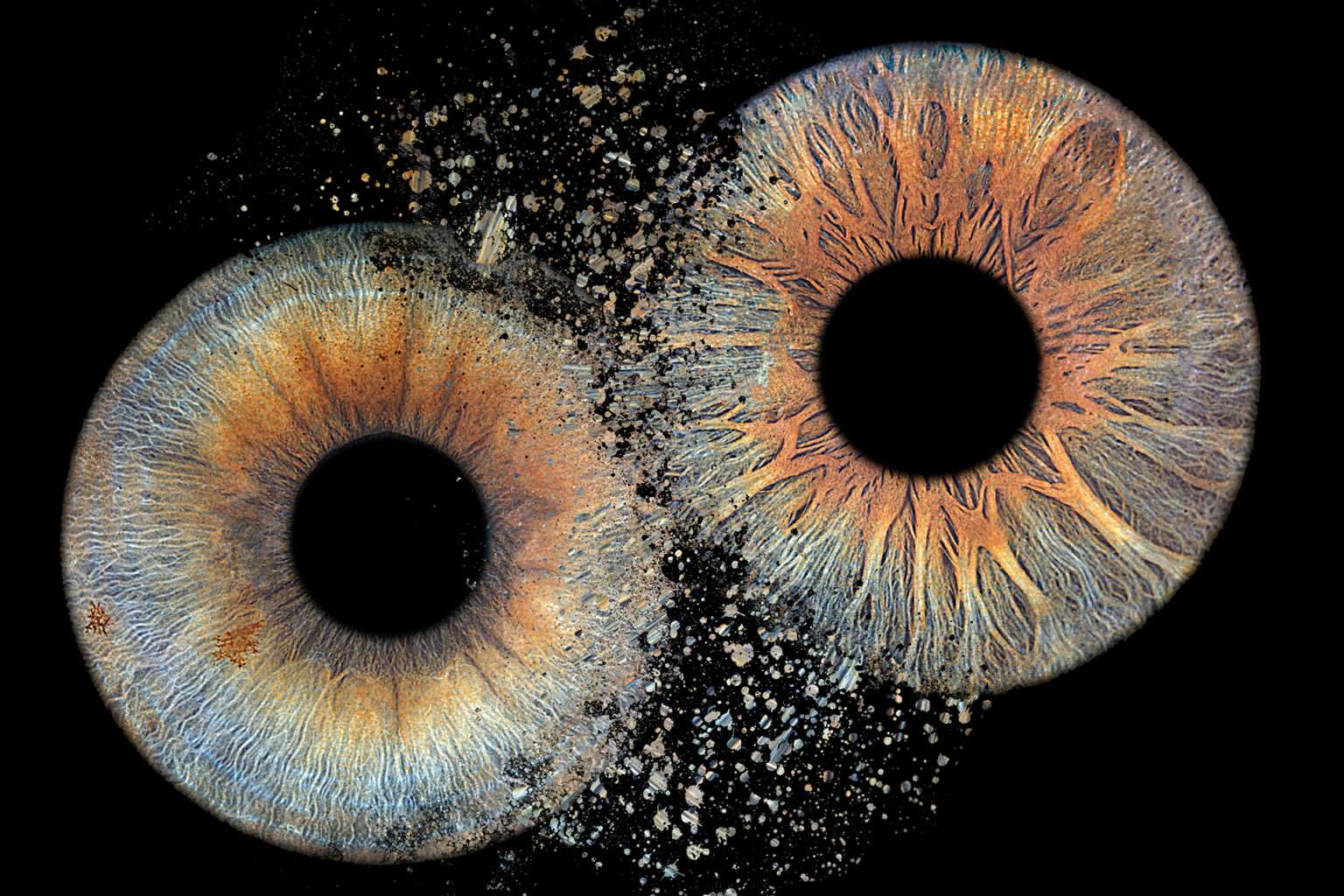 Werde jetzt selbst Irisfoto-Partner