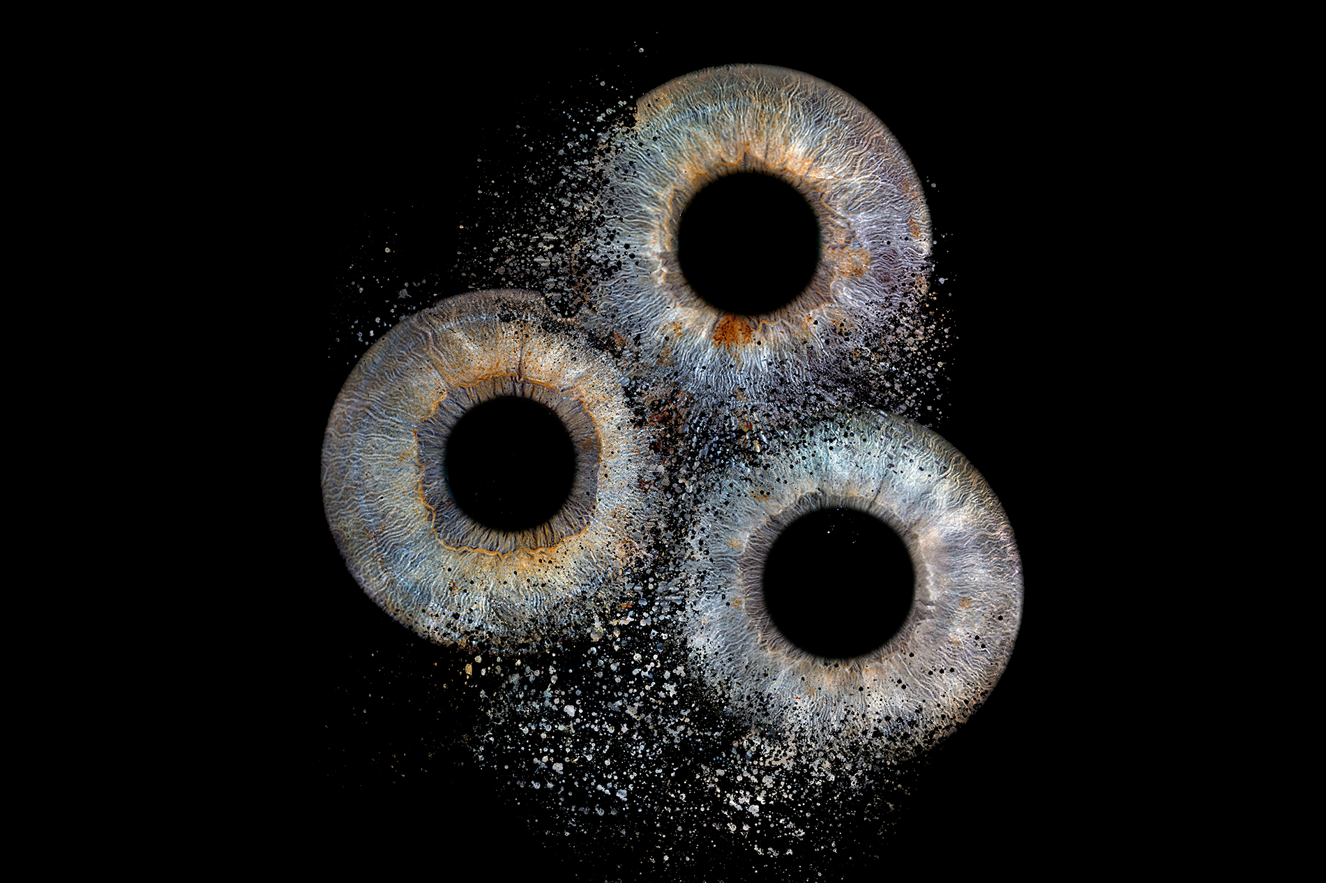 Irisfotografie Mainz | gut statt billig | Buche hier Dein Irisshooting