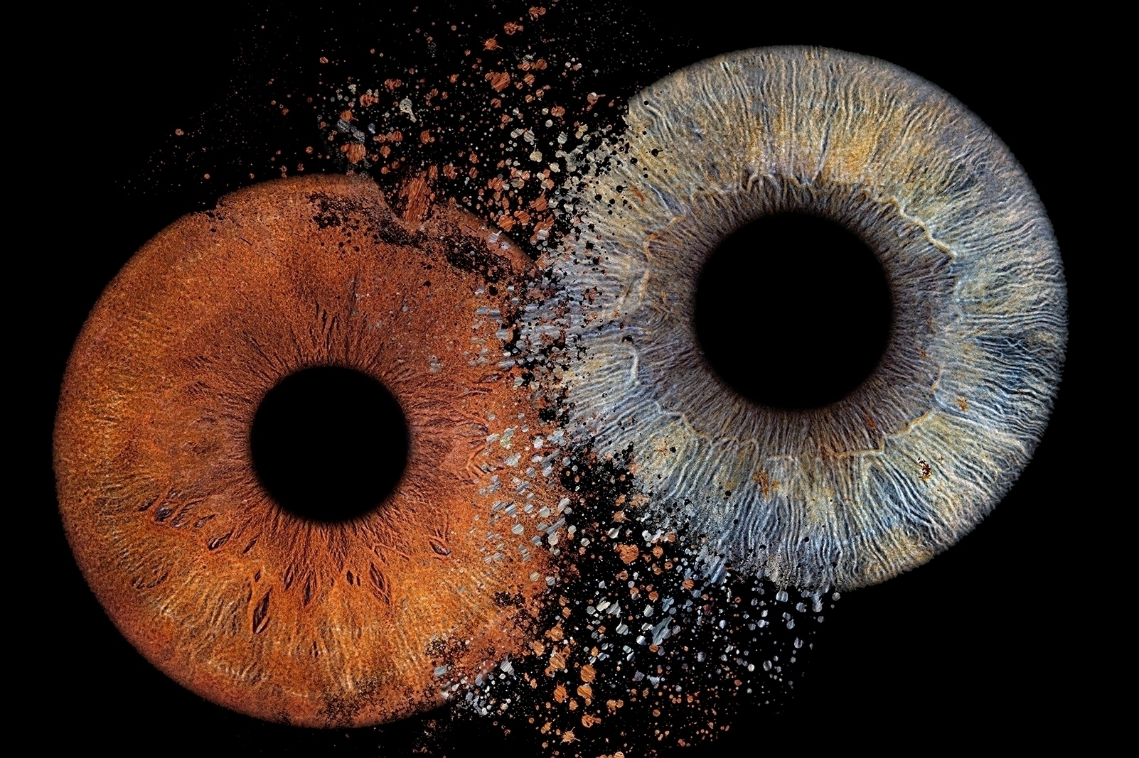 Premium Irisfotos - für Familien, Paare, Freunde - Paarexplosion und mehr