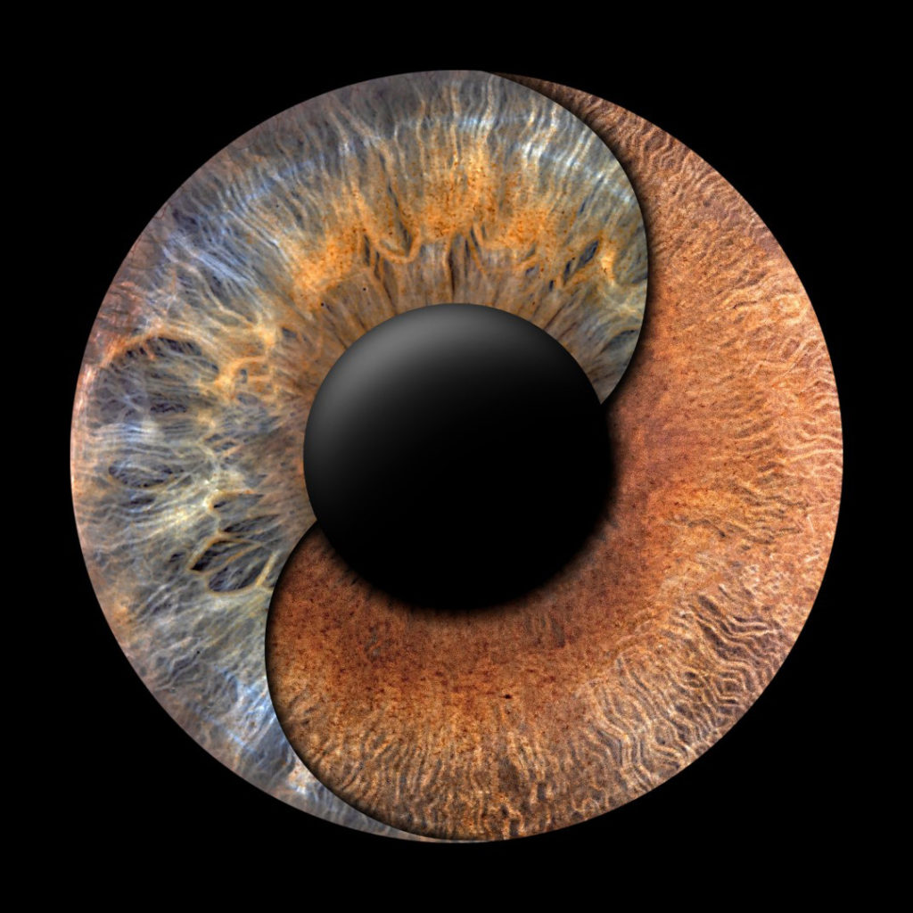 Hochwertige Iris Fotografie aus Wiesbaden | Iris Fotos seit 2018