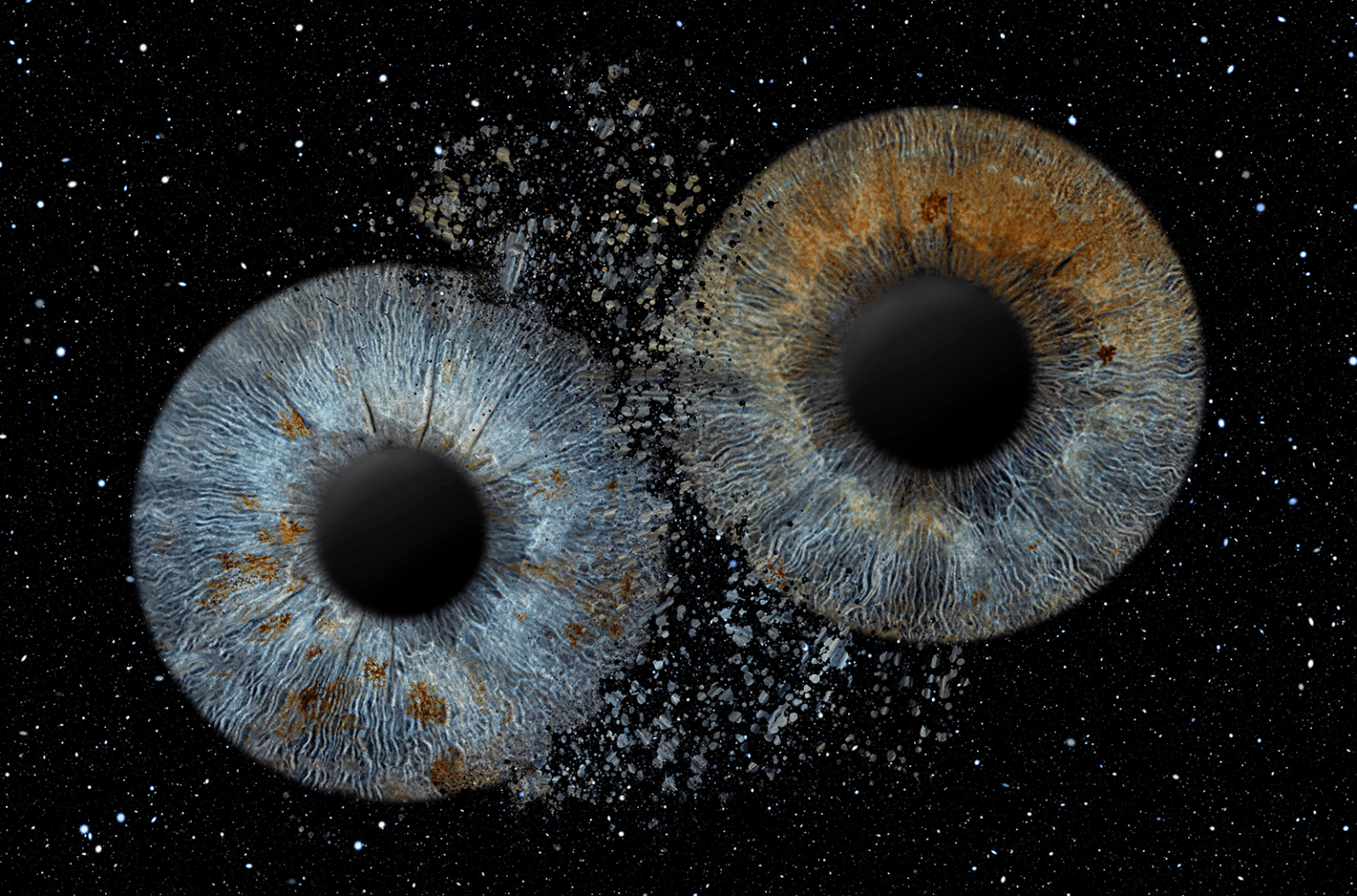 Hochwertige Iris Fotografie aus Wiesbaden | Iris Fotos seit 2018